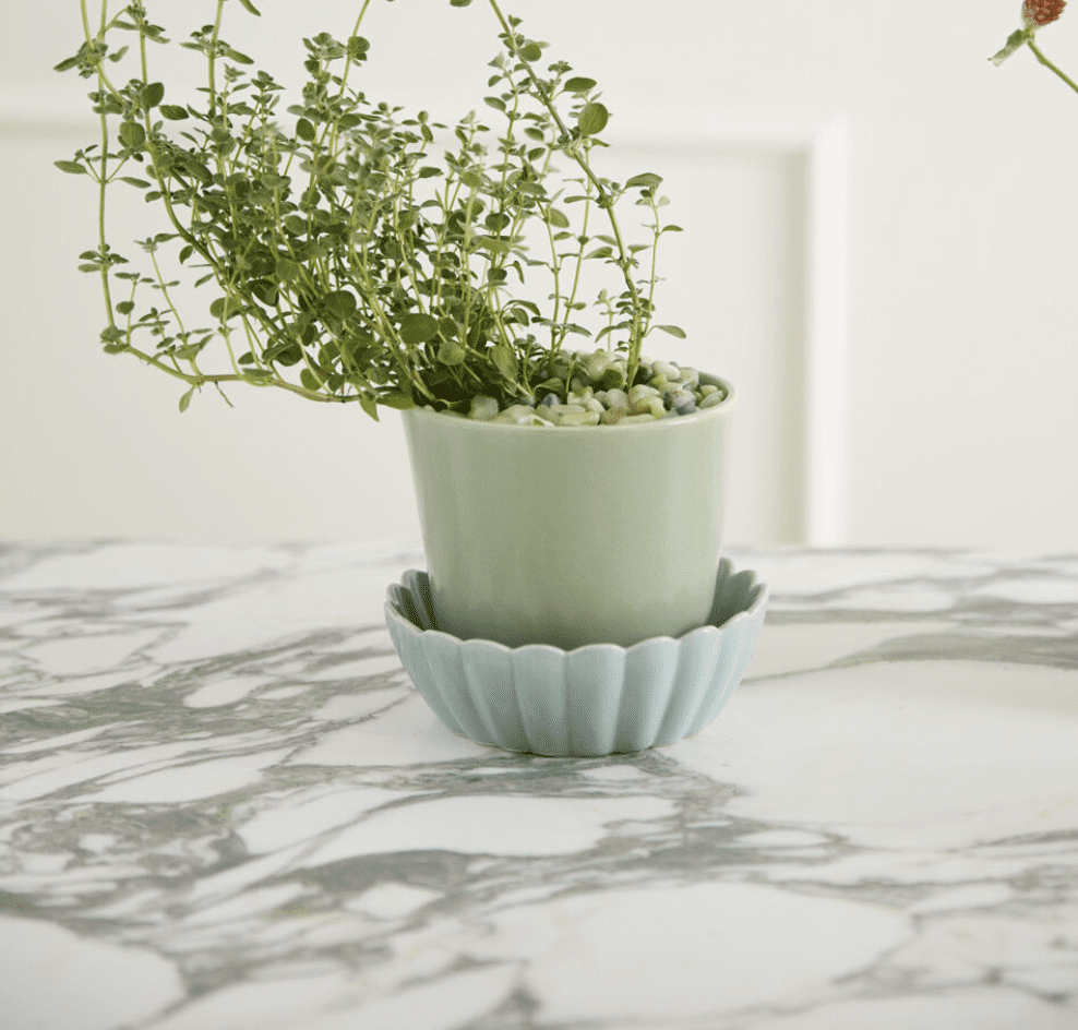 Springvale Pot w/ Saucer, Green – Typo Market